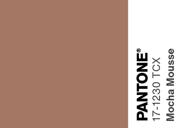 Colour of 2025: Pantone Mocha Mousse - Embracing Harmony: Pantone Colour of the Year 2025 ...